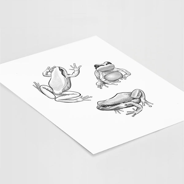 Pacific Tree Frogs - Pseudacris regilla - Fine Art Print - Because Tees