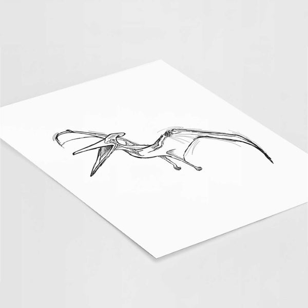 Pteranodon Longiceps - Fine Art Print - Because Tees